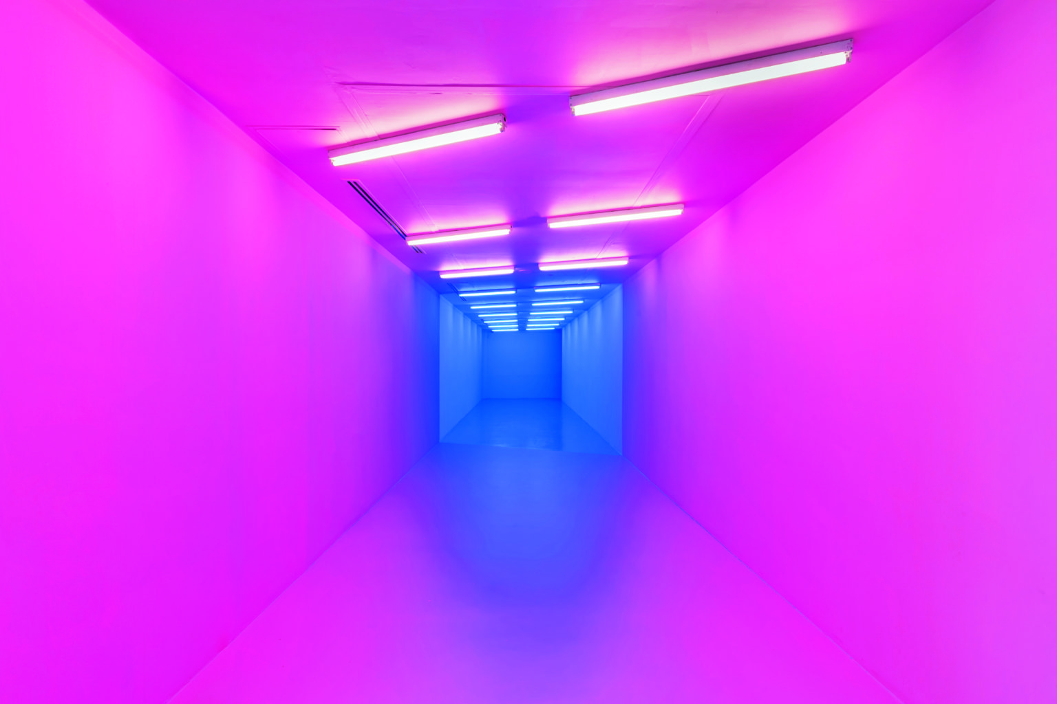 Kapwani Kiwanga. Die Länge des Horizonts - Kunstmuseum Wolfsburg